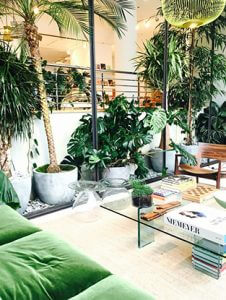 WHAT IS HOLISTIC INTERIOR DESIGN? - BEYOND SPACES